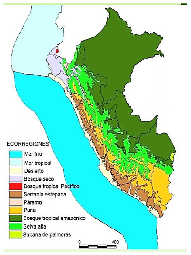 Mapa Ecorregiones | PDF