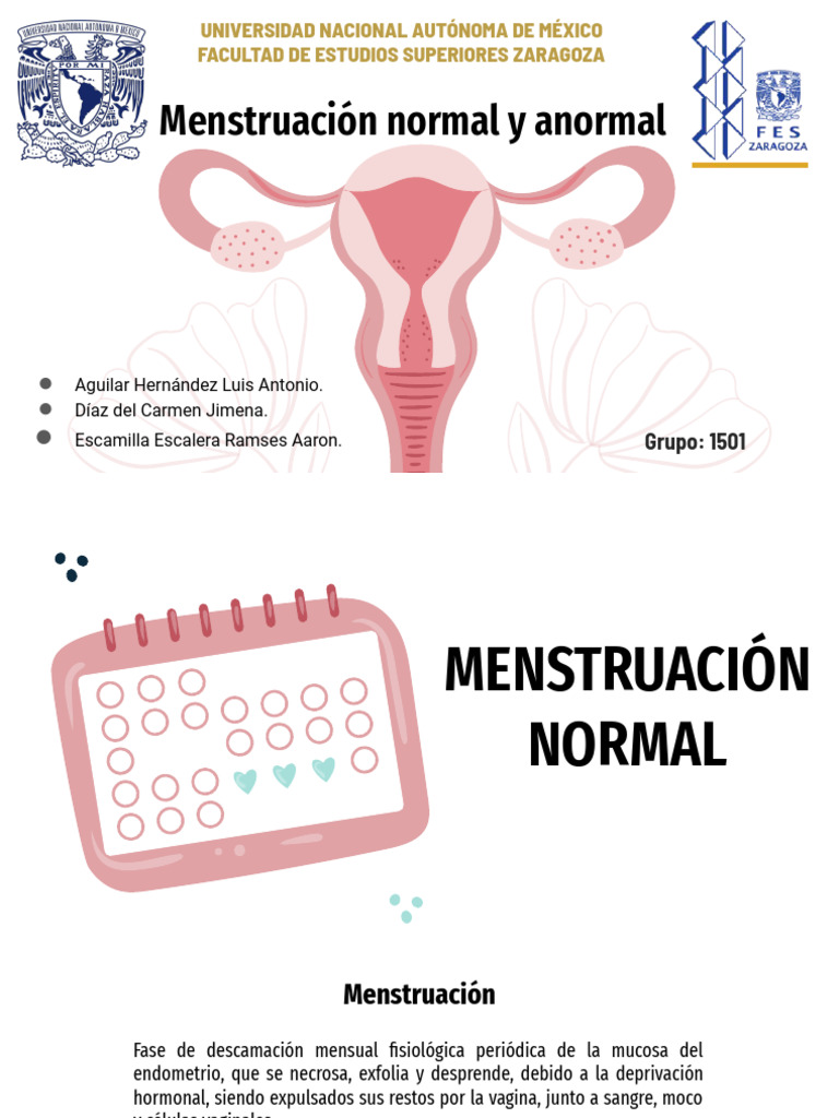 Menstruación Normal y Anormal. | PDF