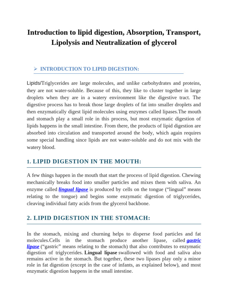 Introduction To Lipid Digestion | PDF