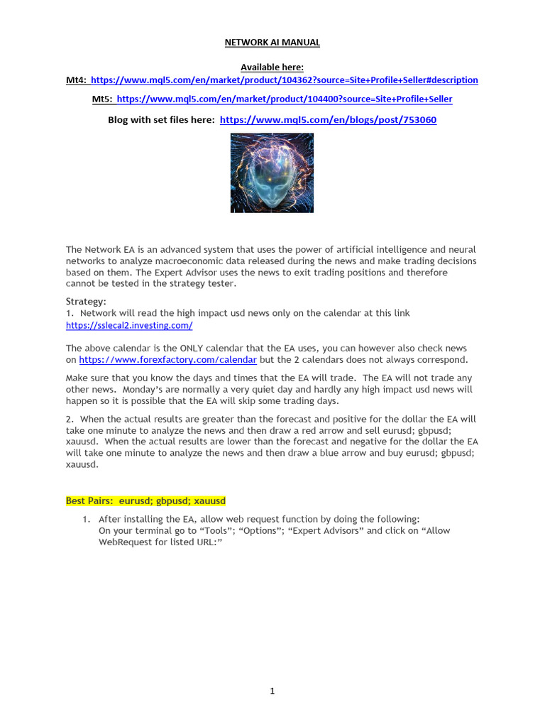 Network Ai Manual | PDF