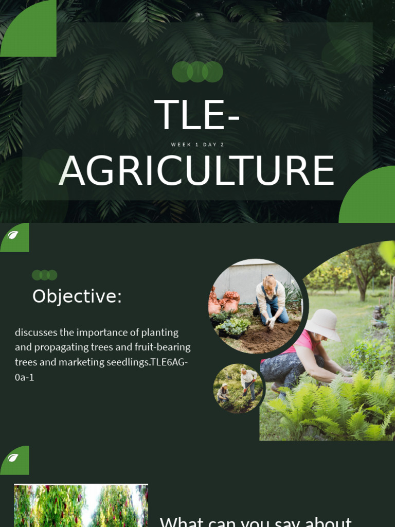 Tle-Agriculture - Day 2 | PDF