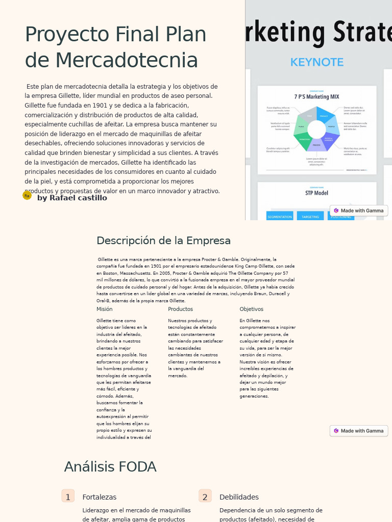 Proyecto Final Plan de Mercadotecnia | PDF