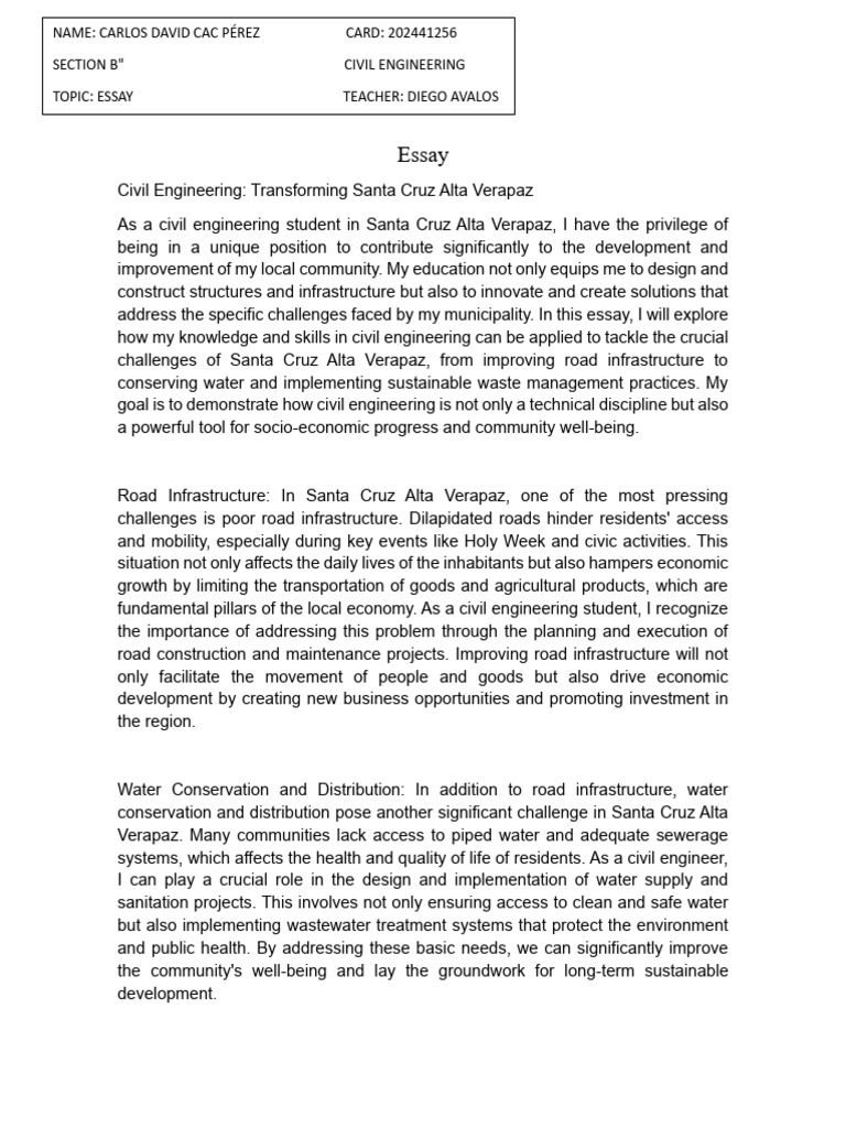 Essay | PDF