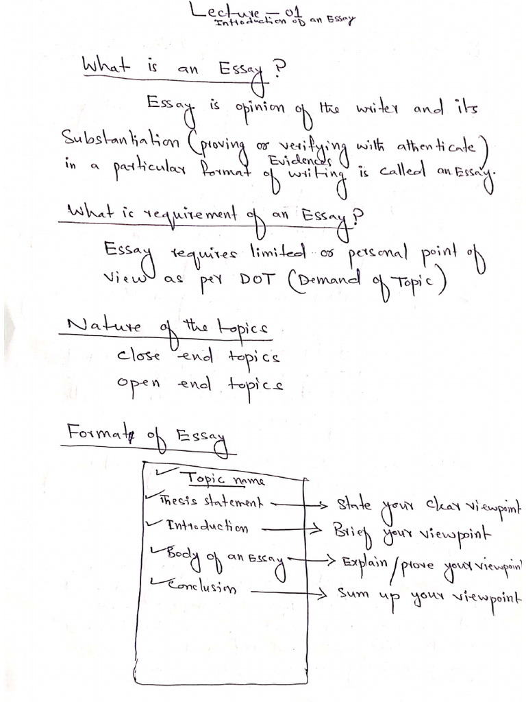Essay Lecture One | PDF