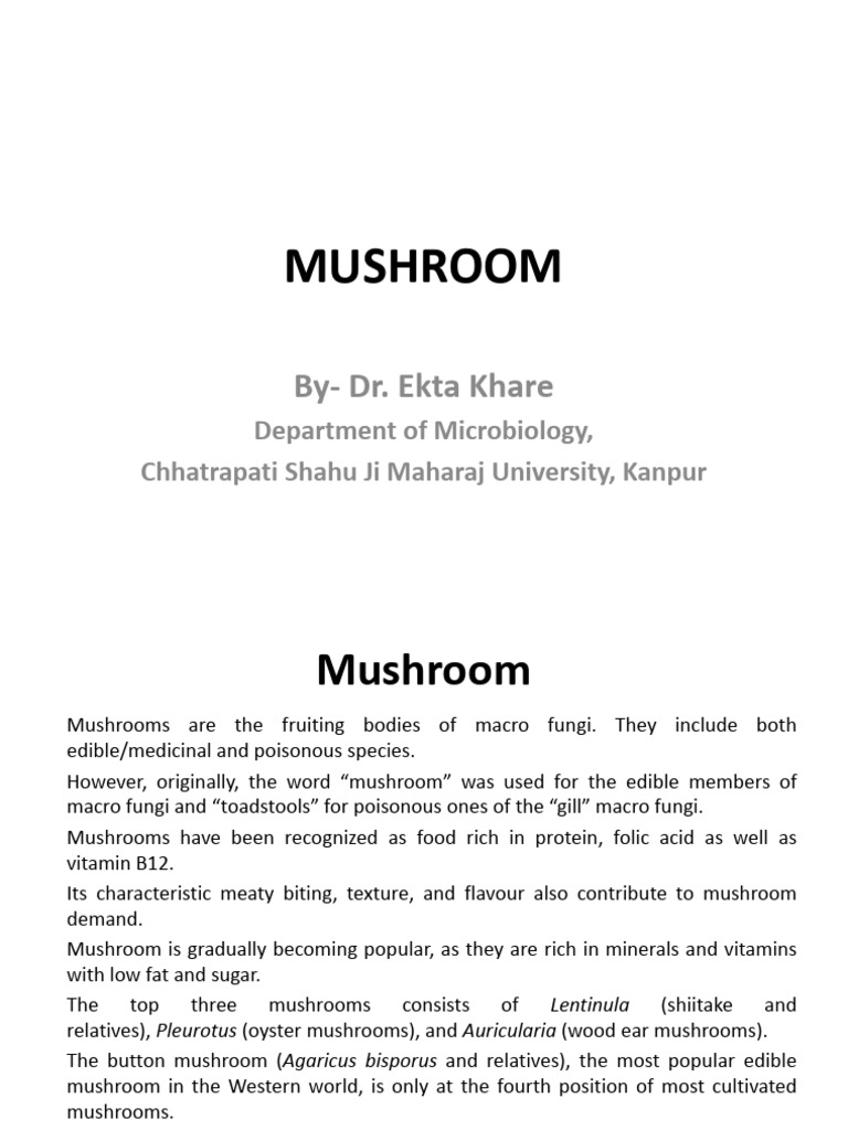 Mushroom | PDF