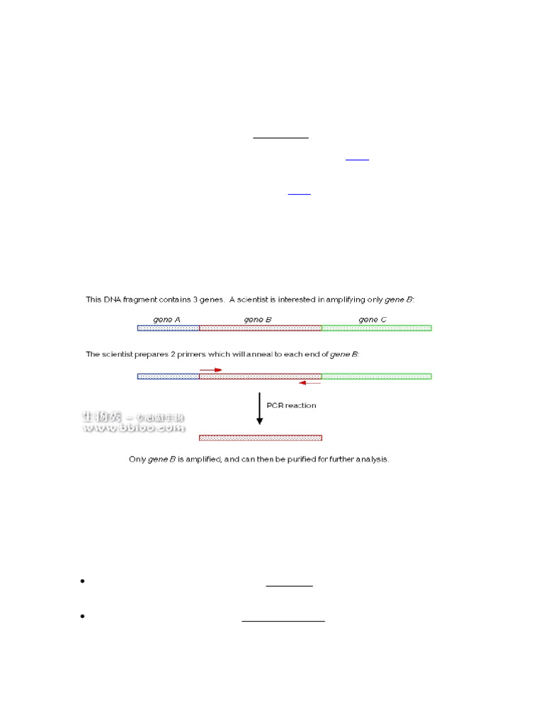 Rapd PCR | PDF