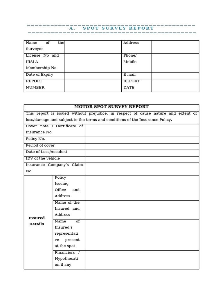 Spot Survey Report Format | PDF