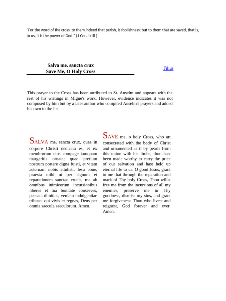 The Holy Cross | PDF