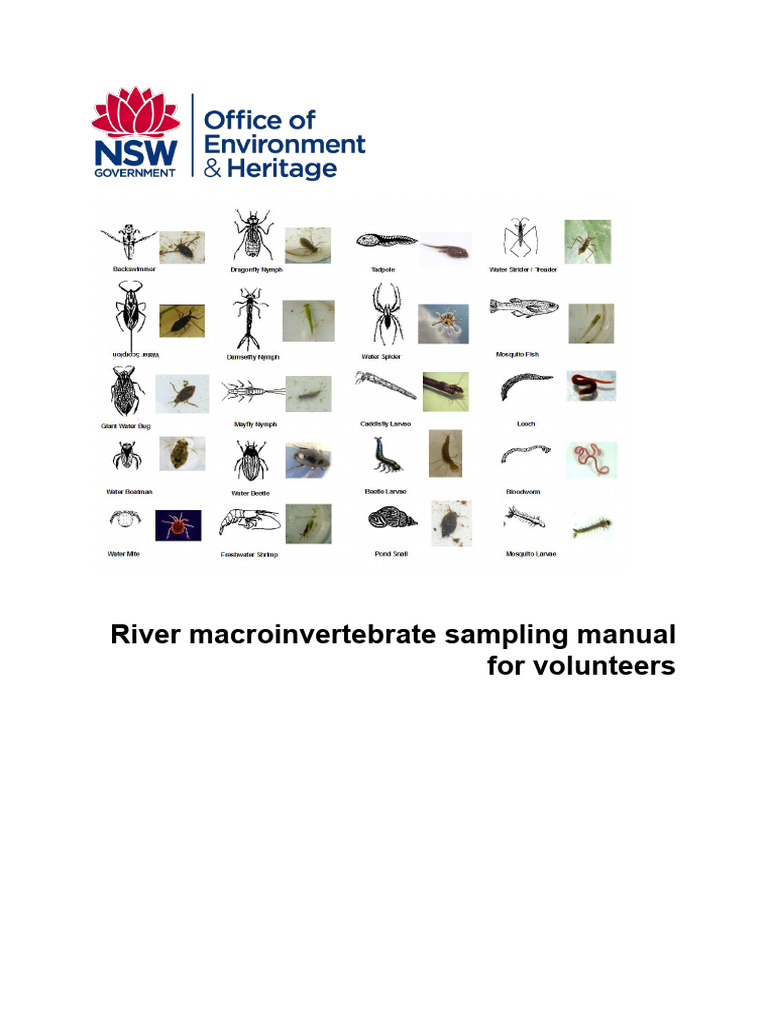 River Macroinvertebrate Sampling Manual 150075 | PDF | Invertebrate | River