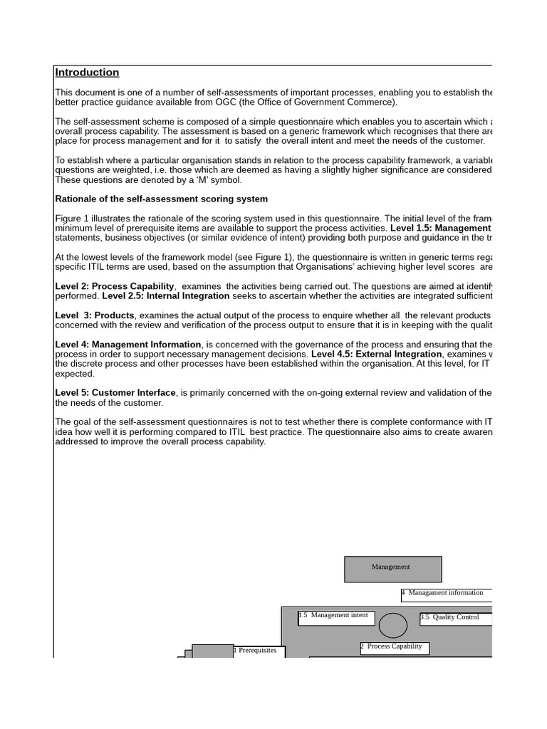 Capacity MGMT Service Delivery Assessment | PDF