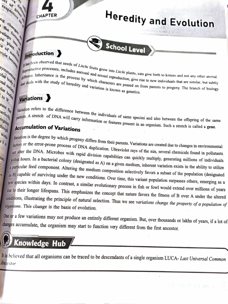 Complete Heredity | PDF | Dominance (Genetics) | Allele