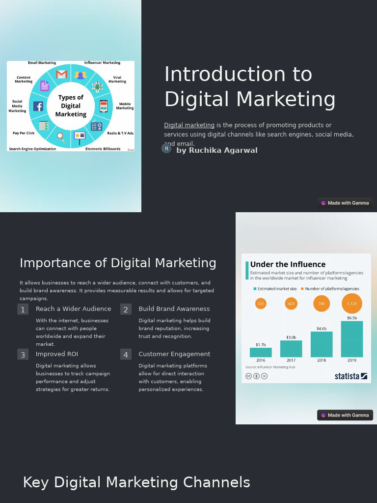 Introduction To Digital Marketing | PDF