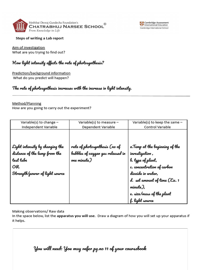 Lab Report Science-Investigation Template | PDF