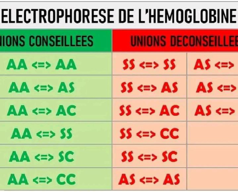 Electrophorèse de L'hemoglobine | PDF