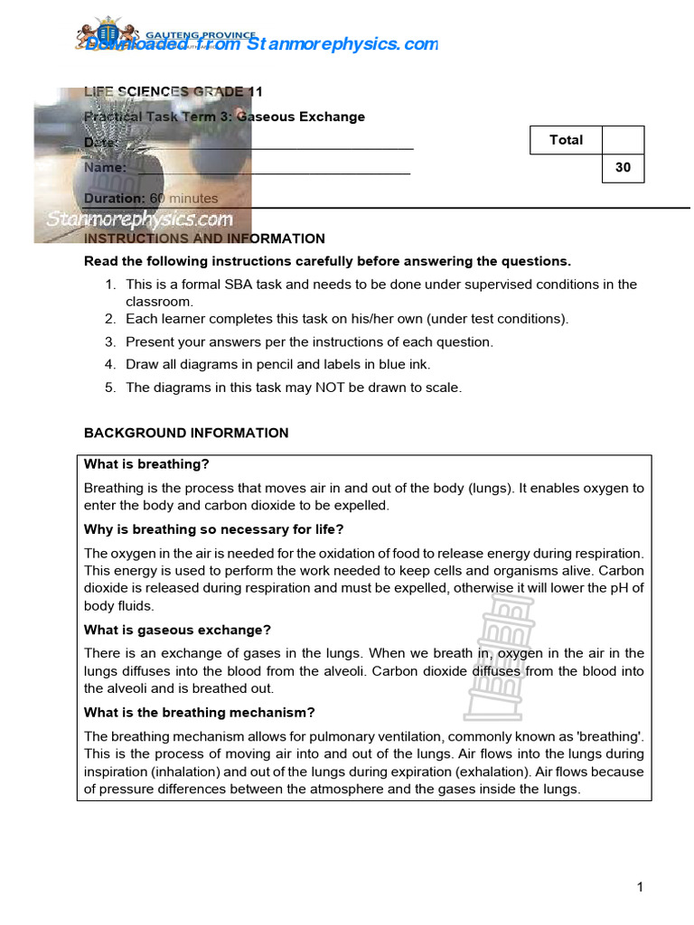 GP Life Sciences Grade 11 Practical Task 2021 TERM 3 and Memo | PDF | Breathing | Technology ...