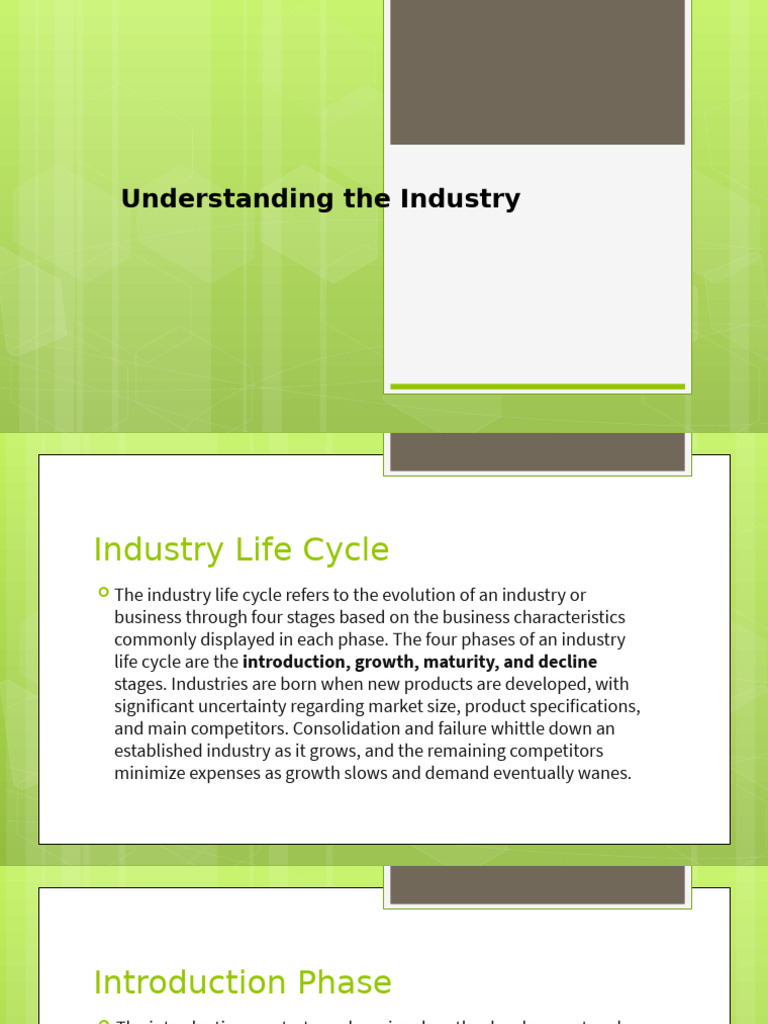 Understanding The Industry Pdf