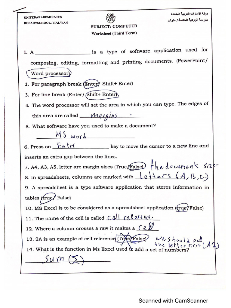 Computer Revision | PDF