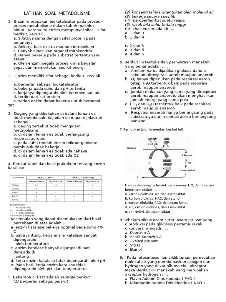 LATIHAN SOAL METABOLISME-print | PDF