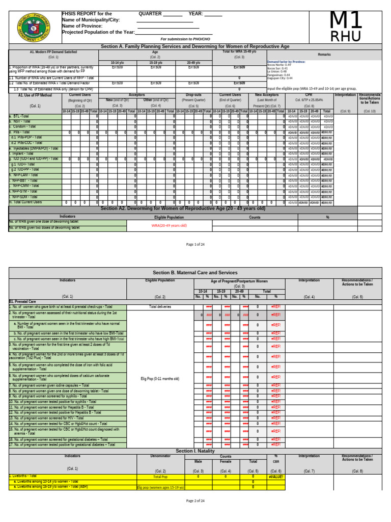 M1 and Q1 Template Per Program 2024 | PDF