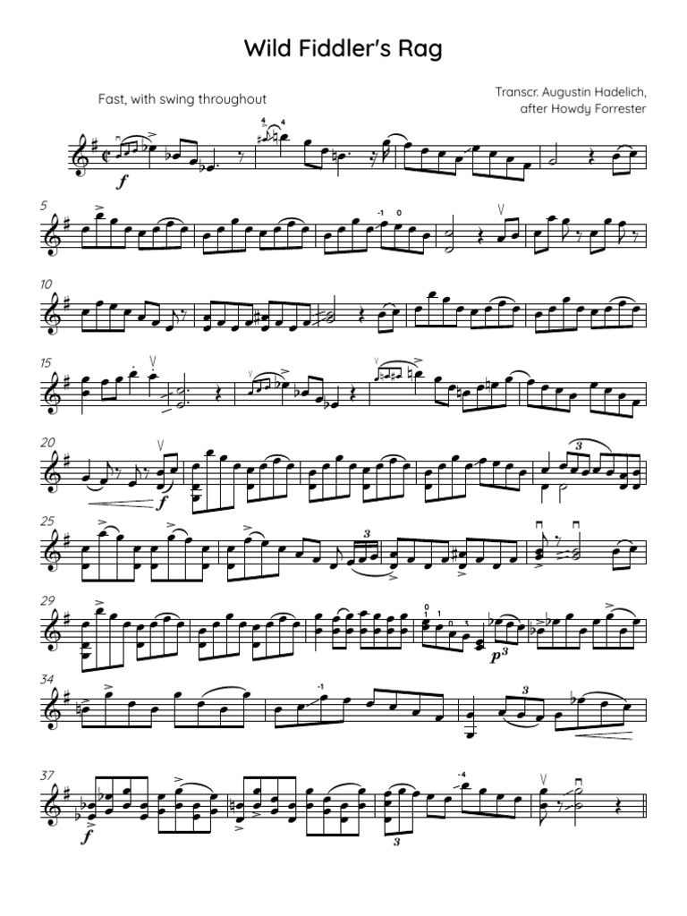 Wild Fiddlers Rag | PDF