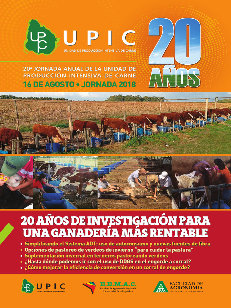 Upic 2018 | PDF