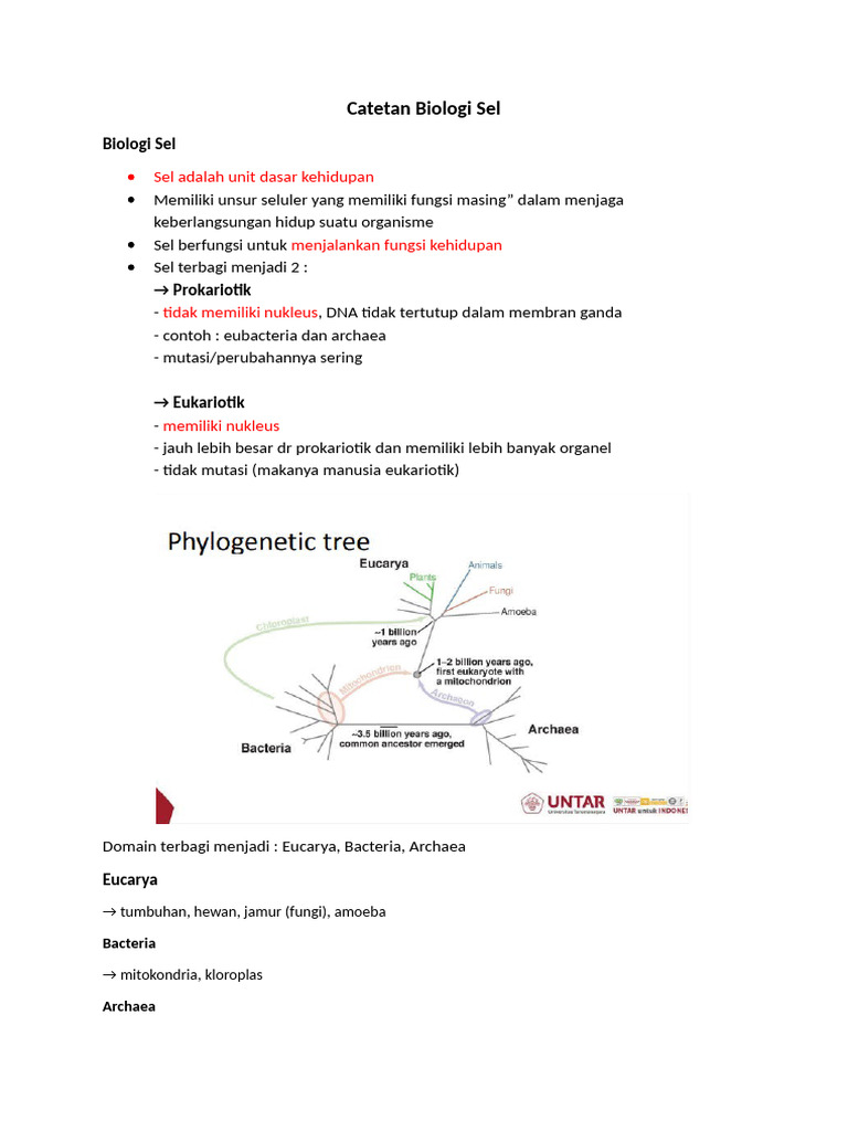 Catetan Biologi Sel | PDF