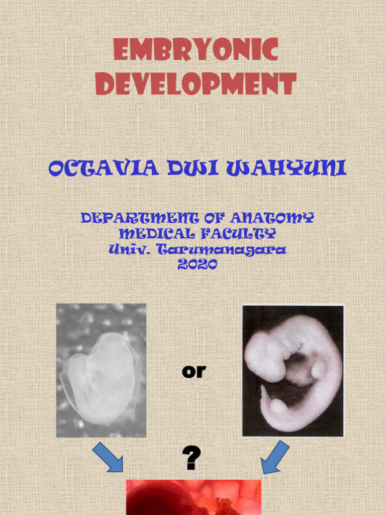 Developmental Anatomy - Dr. Octa Fix | PDF