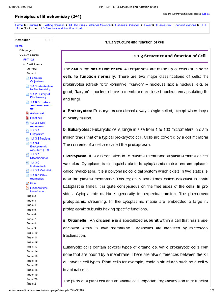Structure and Function of Cell | PDF
