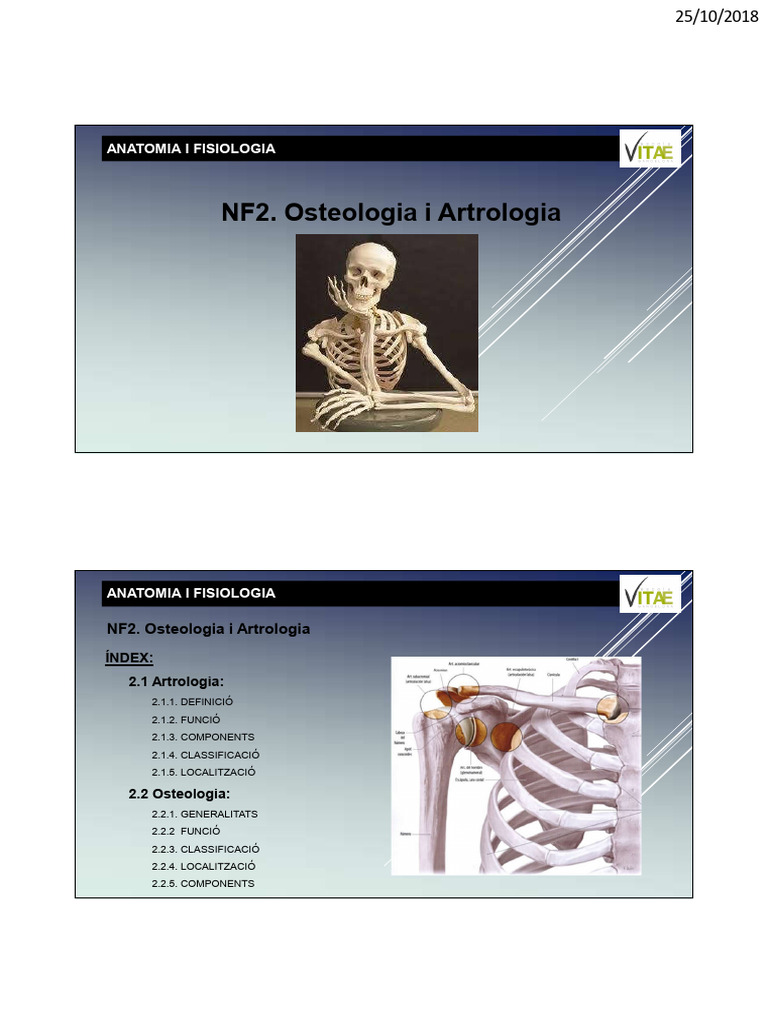 Anatomia I Fisiologia NF 2 OSTEOLOGIA I ARTROLOGIA Part 1 | PDF