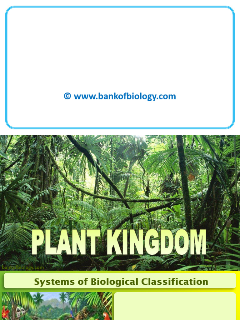 3 Plant Kingdom - PPSX | PDF