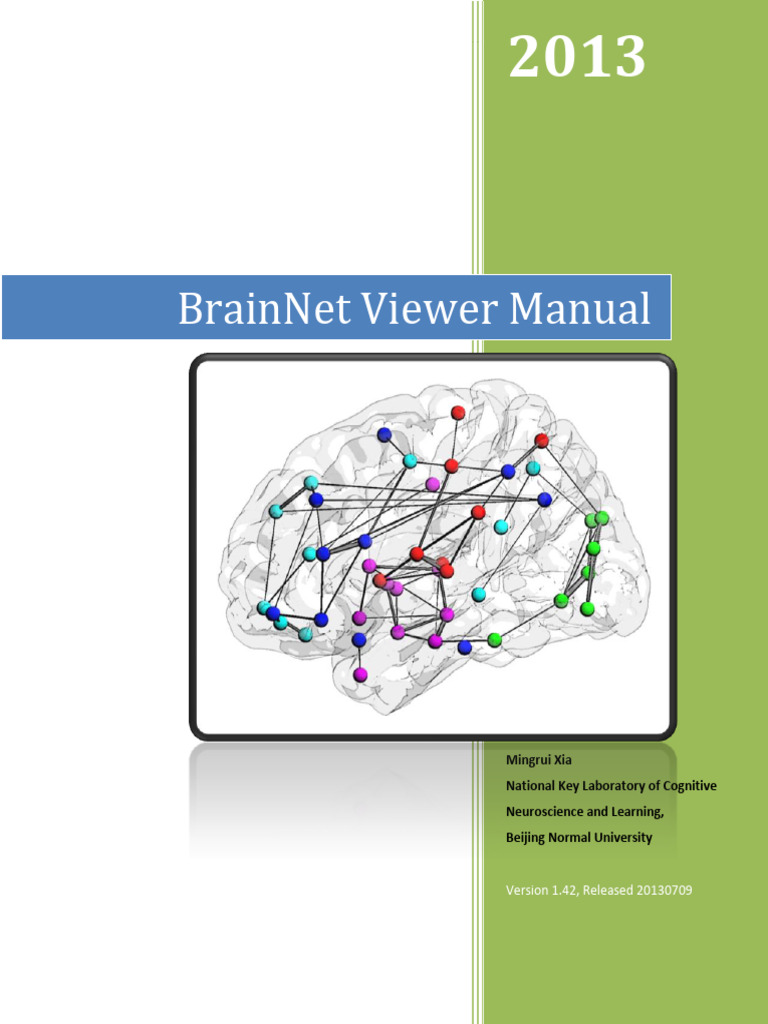 BrainNet Viewer Manual 1.42 | PDF