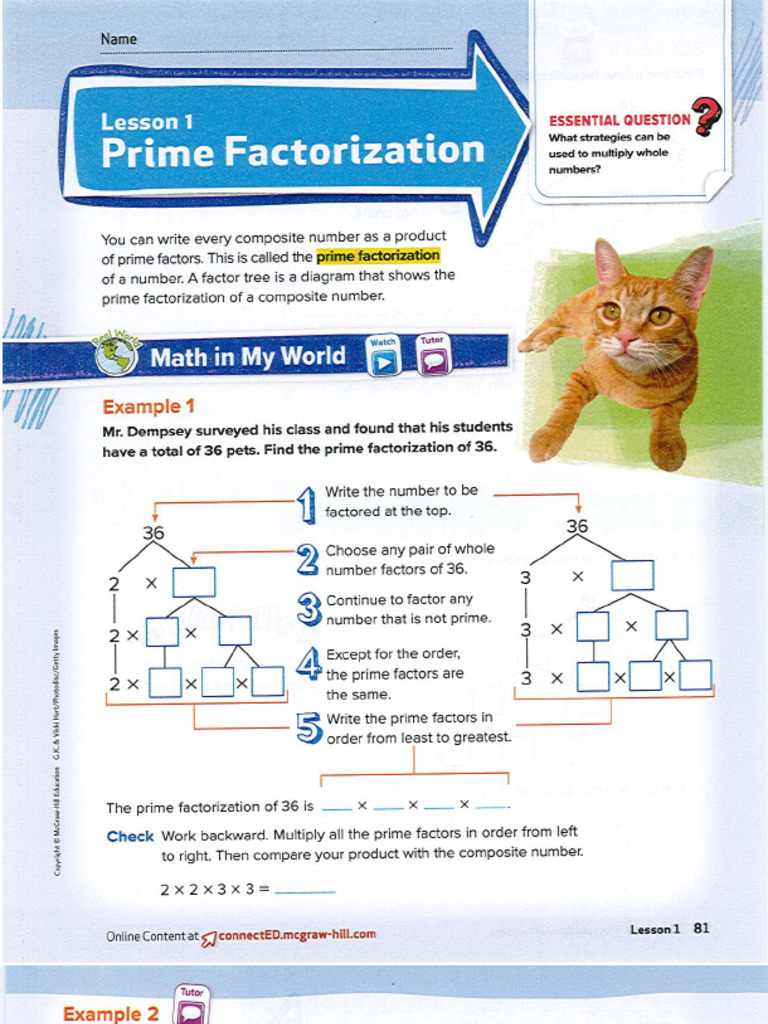 grade 5 prime factorization | PDF