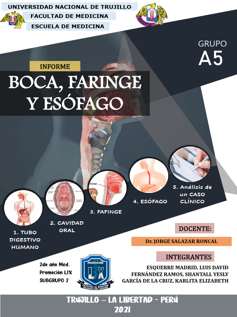 Informe #17 - Subgrupo A.2 | PDF