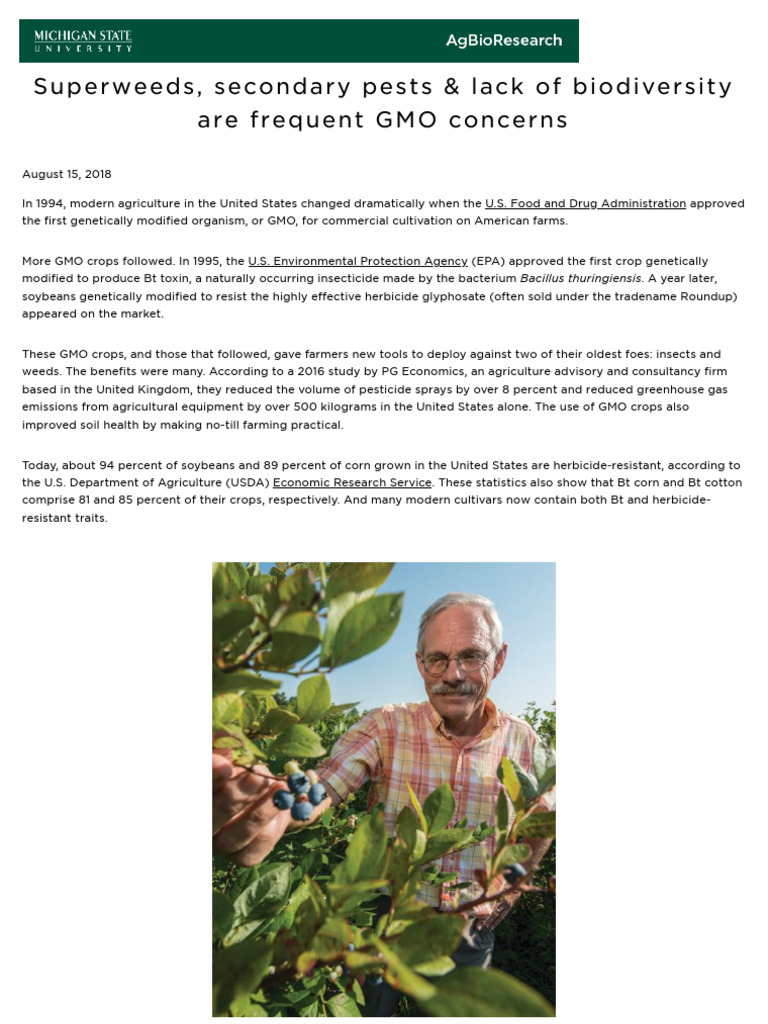 Superweeds, Secondary Pests & Lack of Biodiversity Are Frequent GMO ...