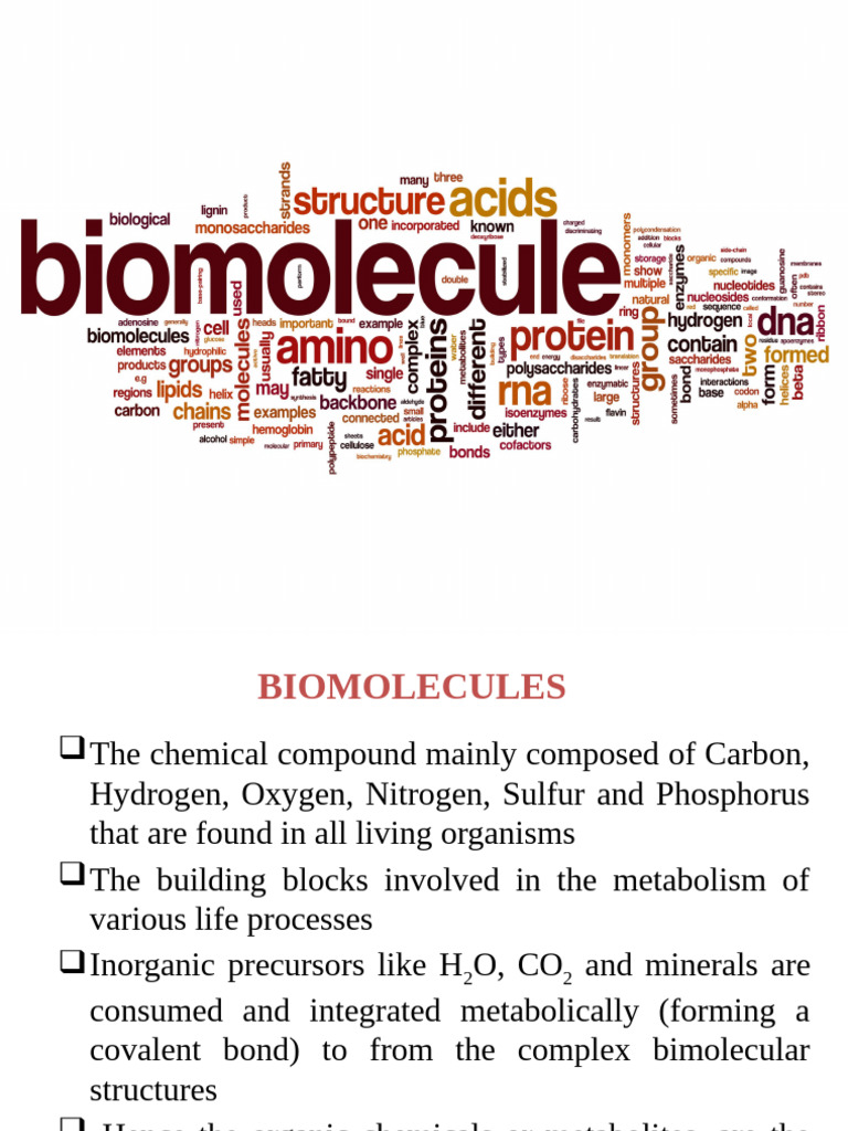 BIOMOLECULES | PDF