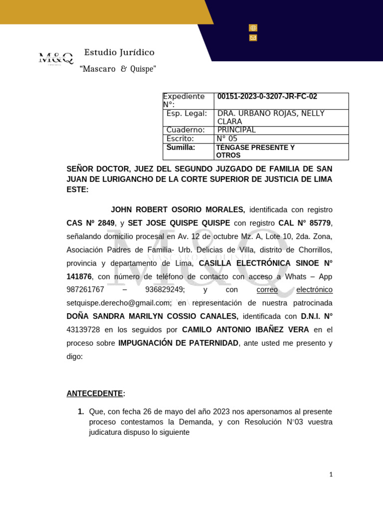 Escrito de Celeridad Procesal - Mayda Gonzales | PDF