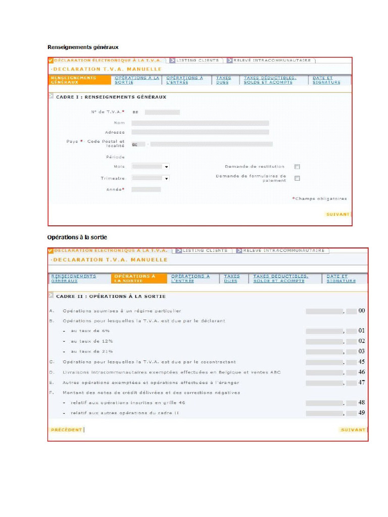 Declaration TVA | PDF