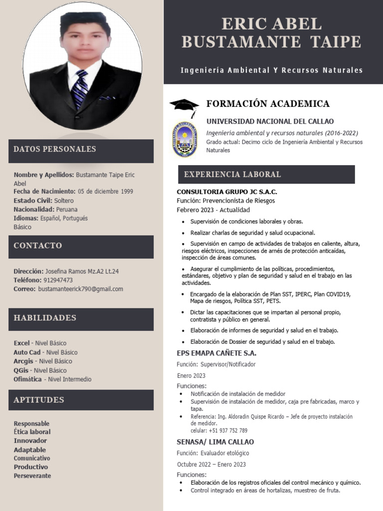 Bustamante Taipe Eric CV Documentado | PDF