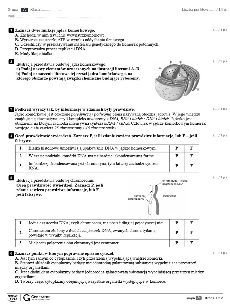 3.4 Jadro Komorkowe. Cytozol Test Z Widoczna Punktacja | PDF