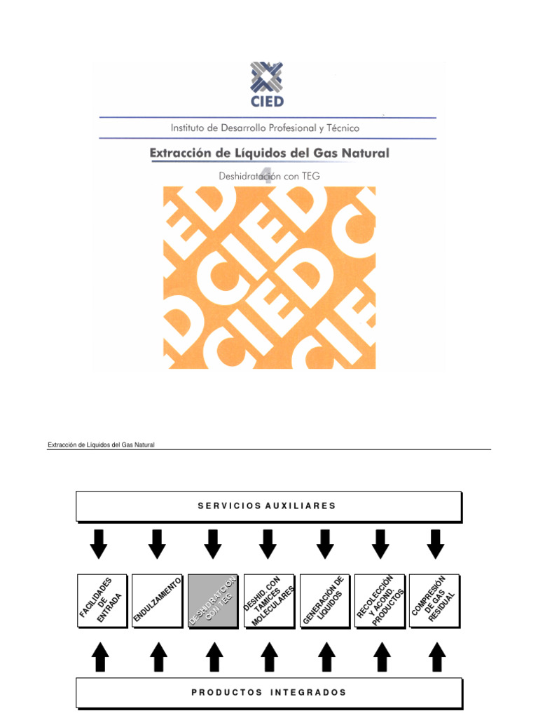 Deshidratación Con TEG (Explicacion Del Proceso) | PDF