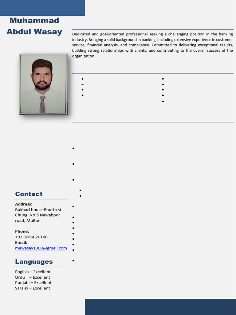 CV Abdul Wasay UPDATED | PDF