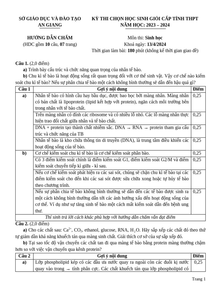 (2023 - 2024) HDC HSG 12 Tỉnh An Giang | PDF