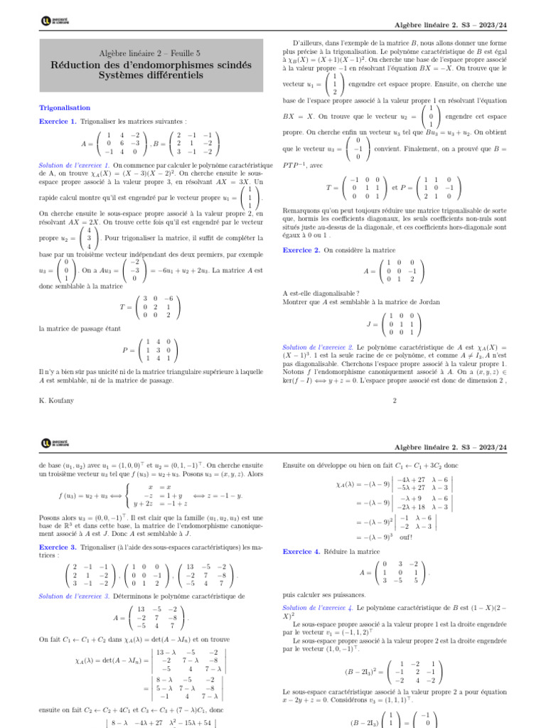 05 Exo Trig Sys Diff Corrige23 24 | PDF