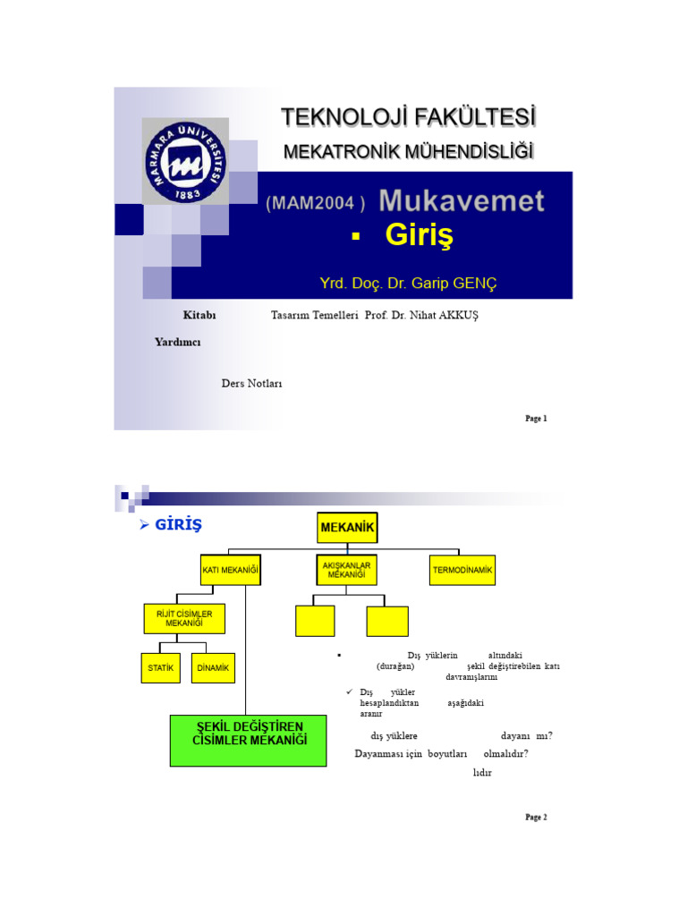 MAM2004 1 Giris | PDF