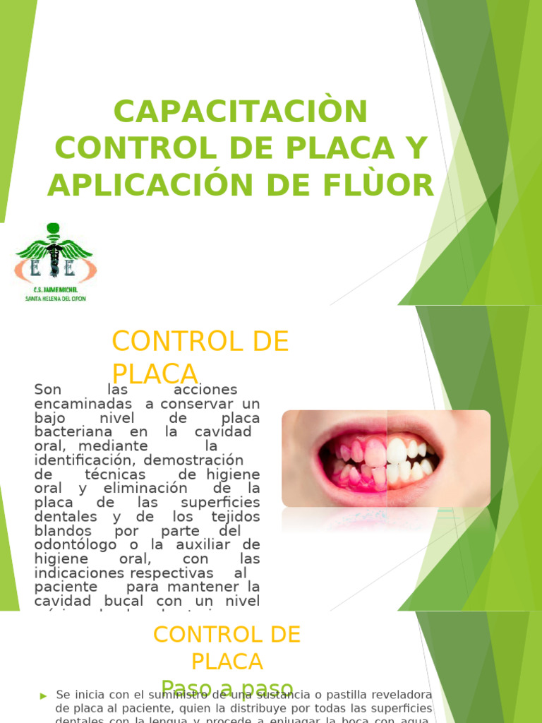 Control Placa y Aplicacion Flúor | PDF