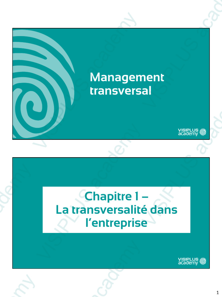 Support - Management Transversal | PDF