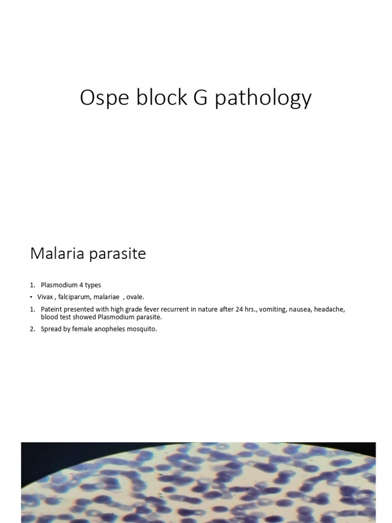 Block G Ospe Patho Slides | PDF