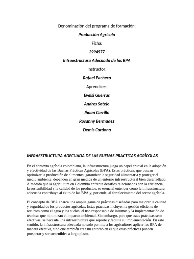 Trabajo Inst Rafa | PDF