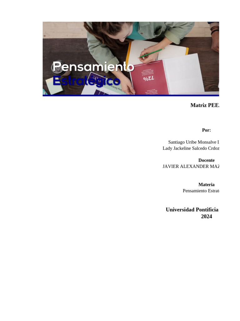 Matriz PEEA Ejercicio Ejemplo 1 | PDF