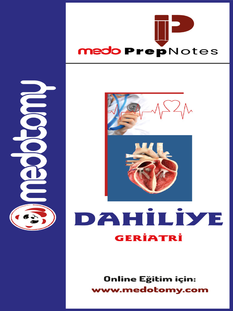 11 Geriatri 240816 170529 | PDF